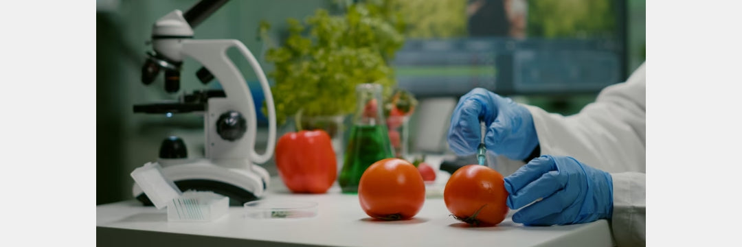 How to Become a Food Scientist: Career Path, Jobs & Top Colleges ...