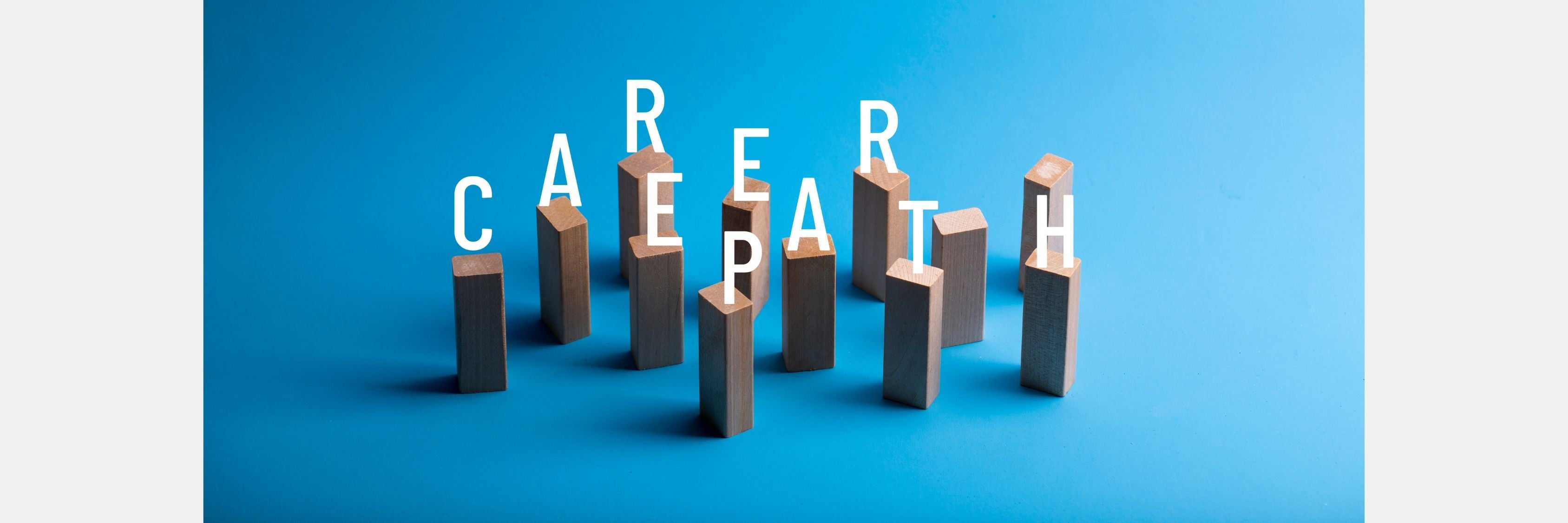 How do you make the Right Career Choice after class 12? – fundaspring