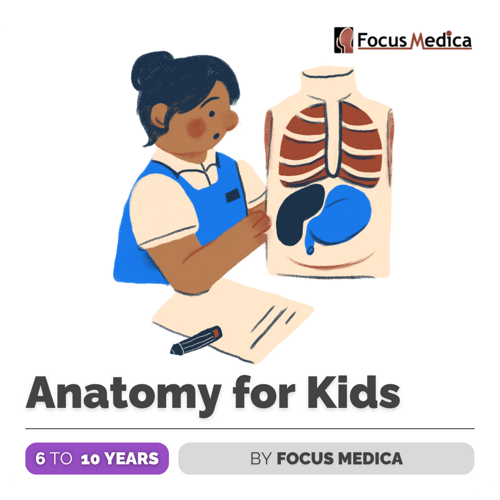 Anatomy for Kids by Focus Medica for 6-10 year kids – fundaspring