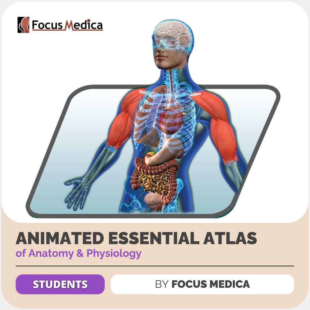 Animated Essential Atlas of Anatomy and Physiology by Focus Medica ...