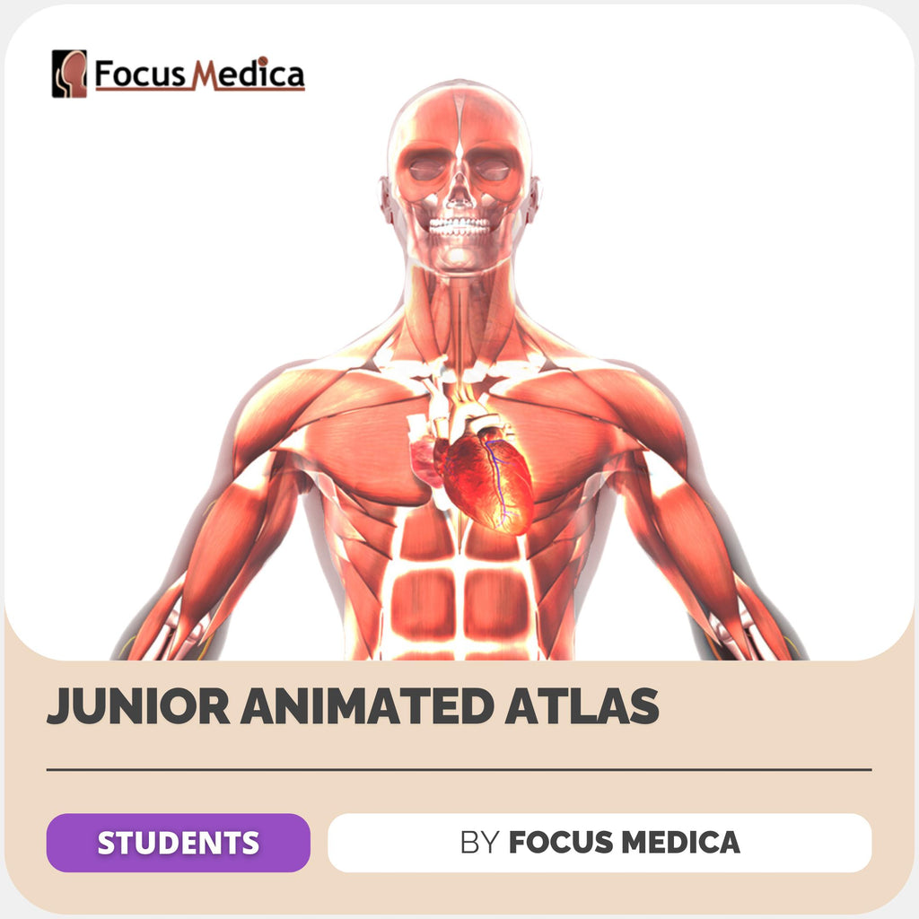 Junior Animated Atlas by Focus Medica – fundaspring