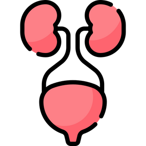 Focus Medica: Leading Medical Education Through Animation – fundaspring